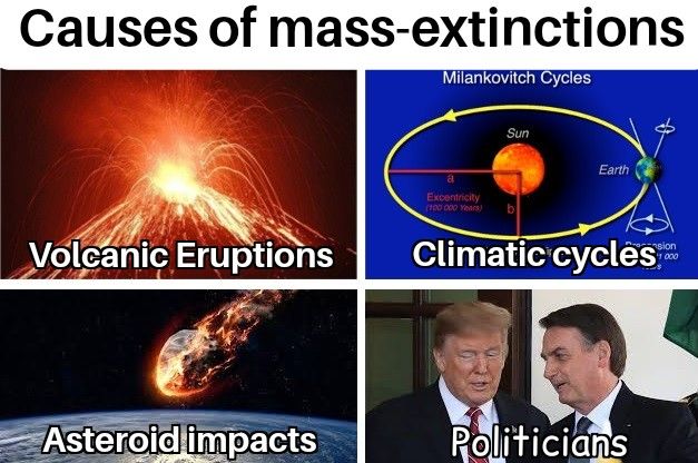 Holocene extinction | Scrolller