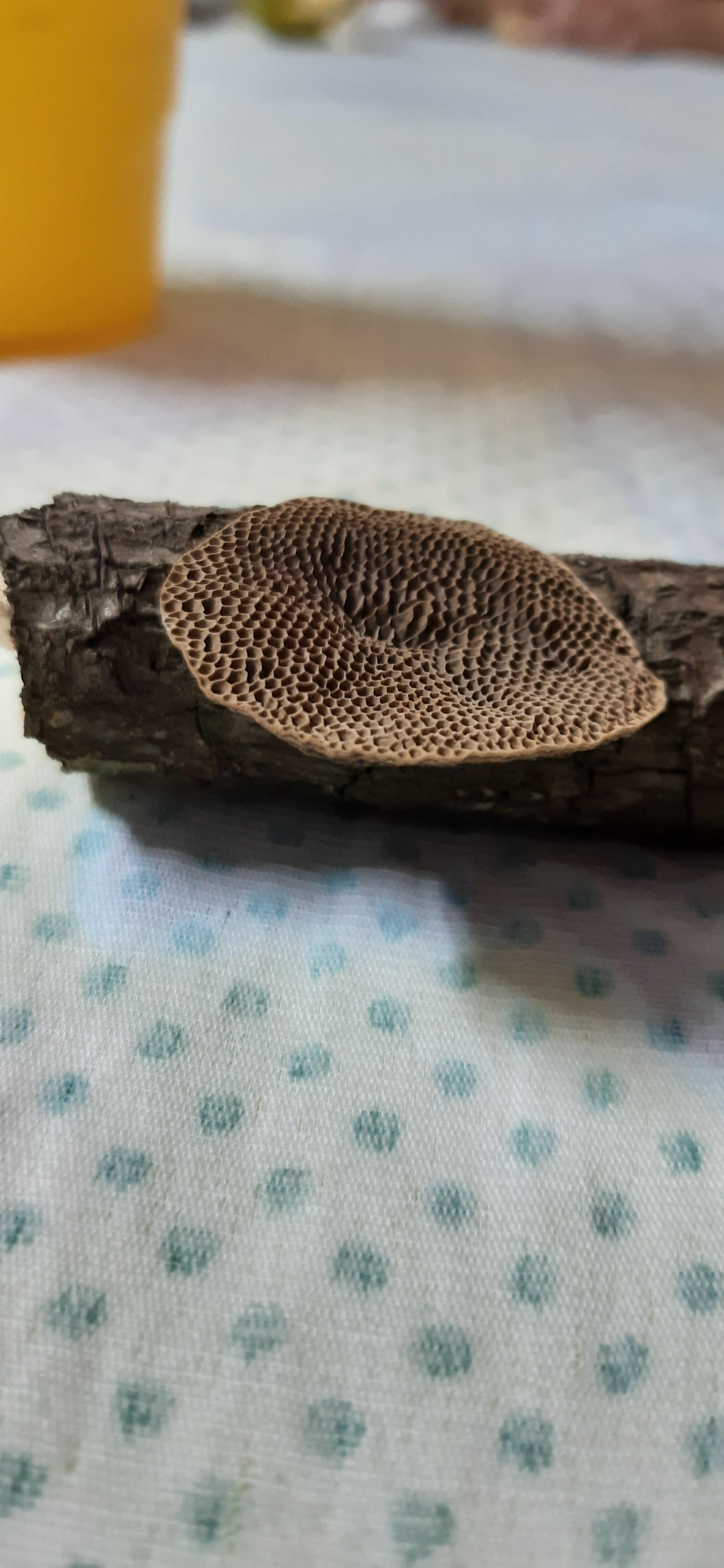 Holy crap | Scrolller