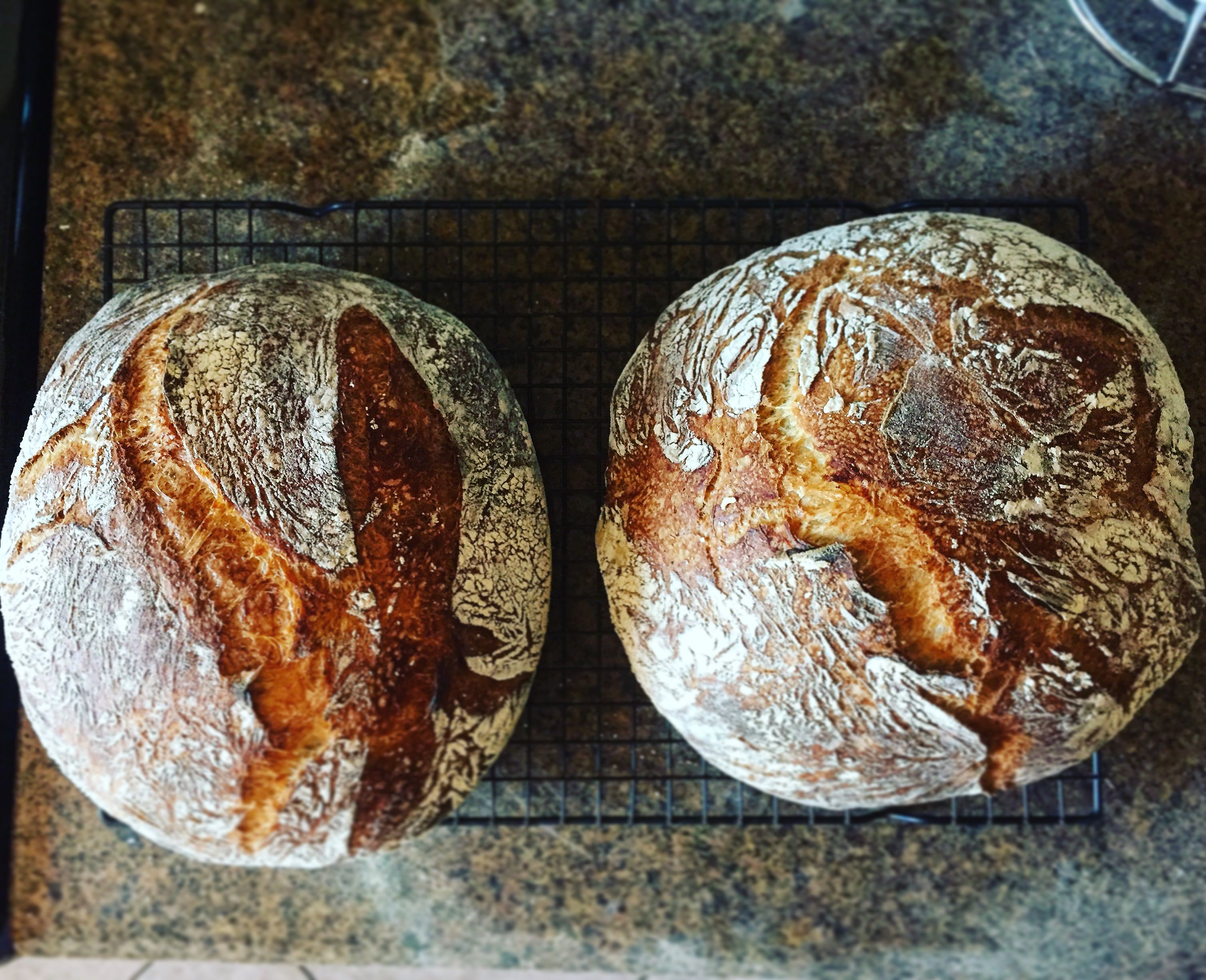 [Homemade] Loaves of bread | Scrolller