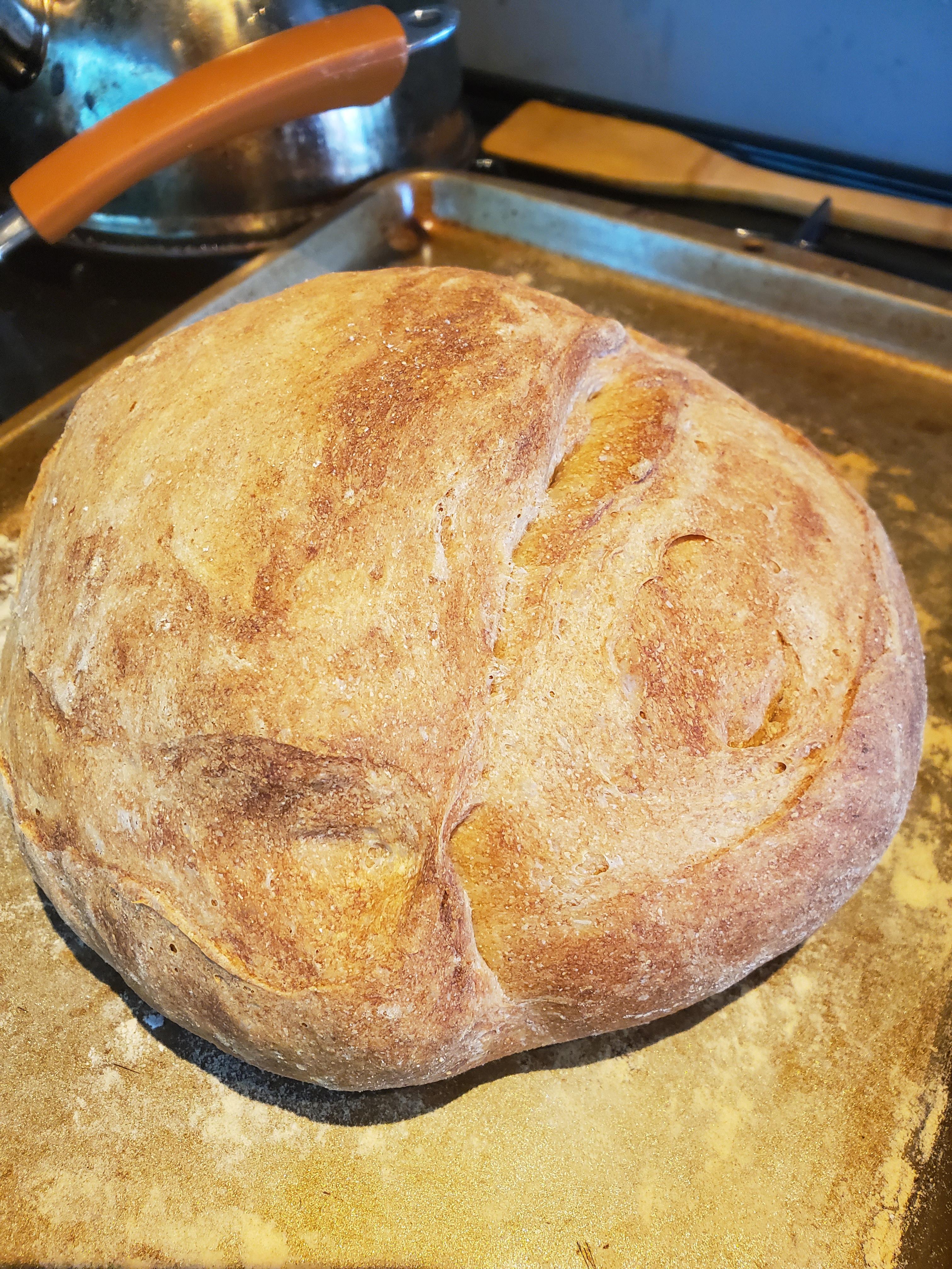 Honey Wheat, no knead bread. Turned out amazing. | Scrolller