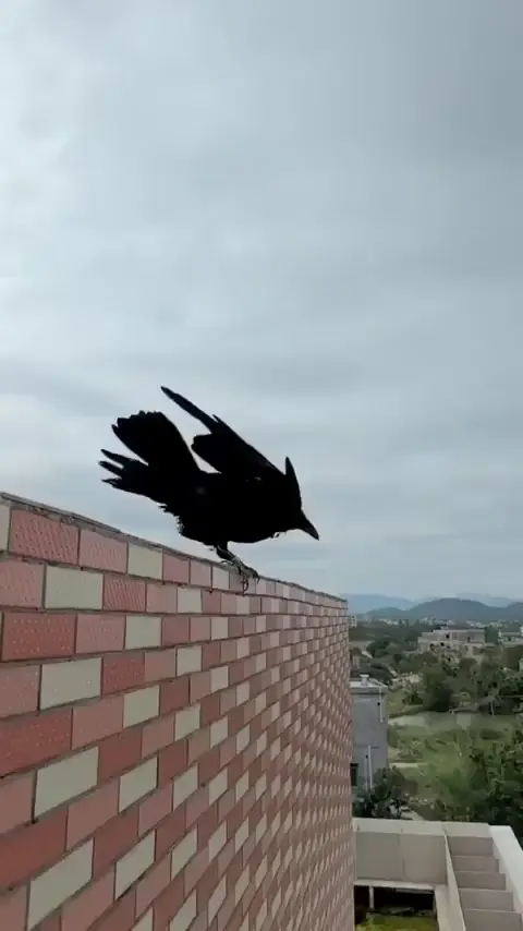 Hover Drone Exposed During Wing Malfunction | Scrolller