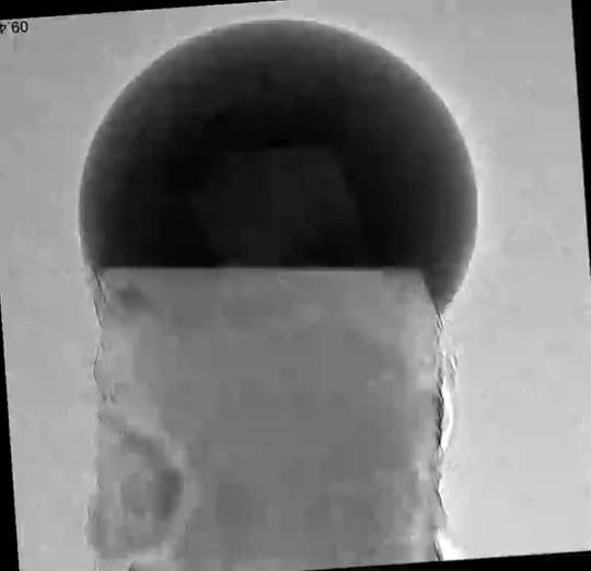 How a silicon nanowire grows from a liquid Si/Au droplet as seen under an electron microscope ...