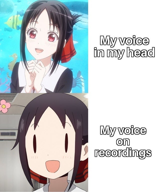 how do voice actors sound so sugoiiii | Scrolller