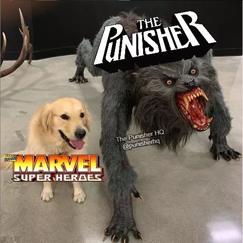 How I see the Punisher and other Marvel Heroes. | Scrolller