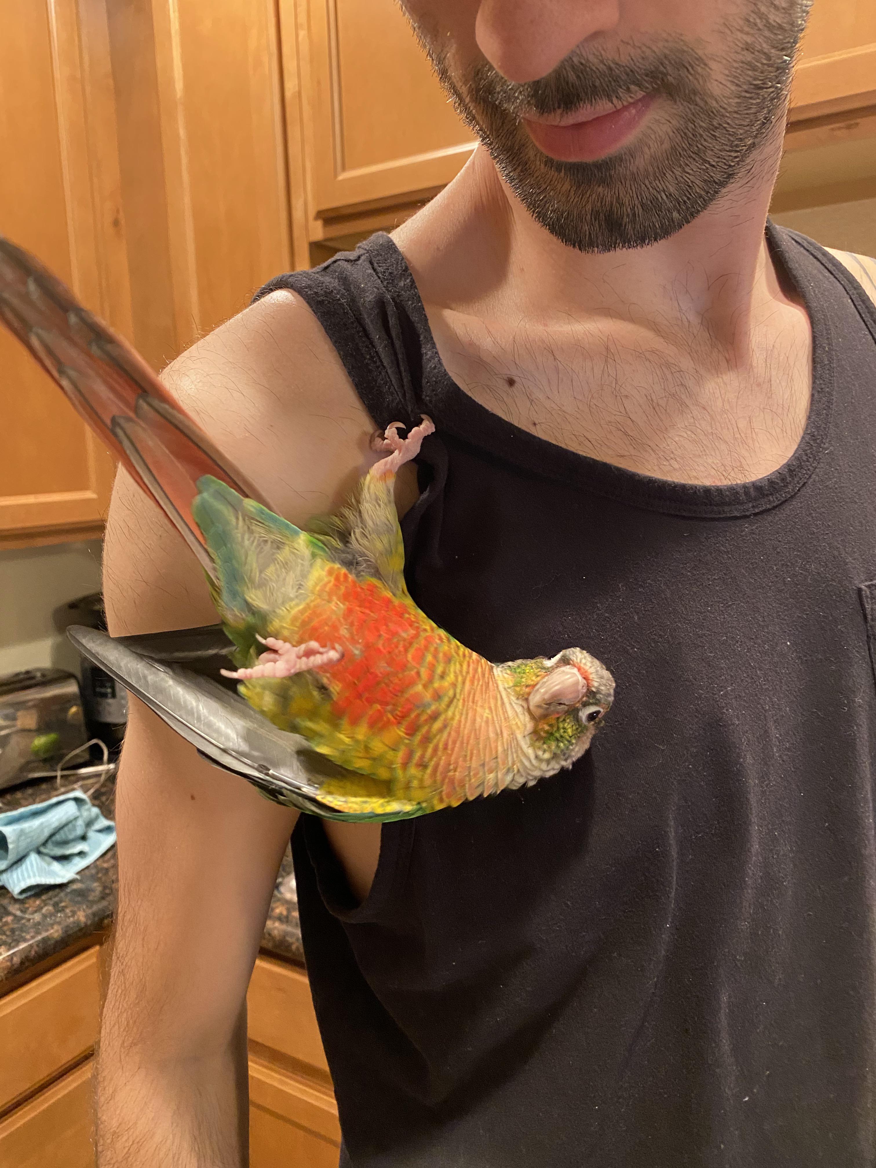 How’s it hangin? | Scrolller