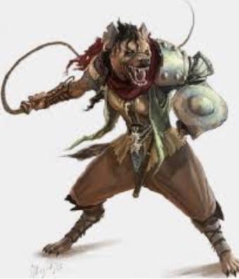 How to build a gnoll paladin/beastmaster? | Scrolller