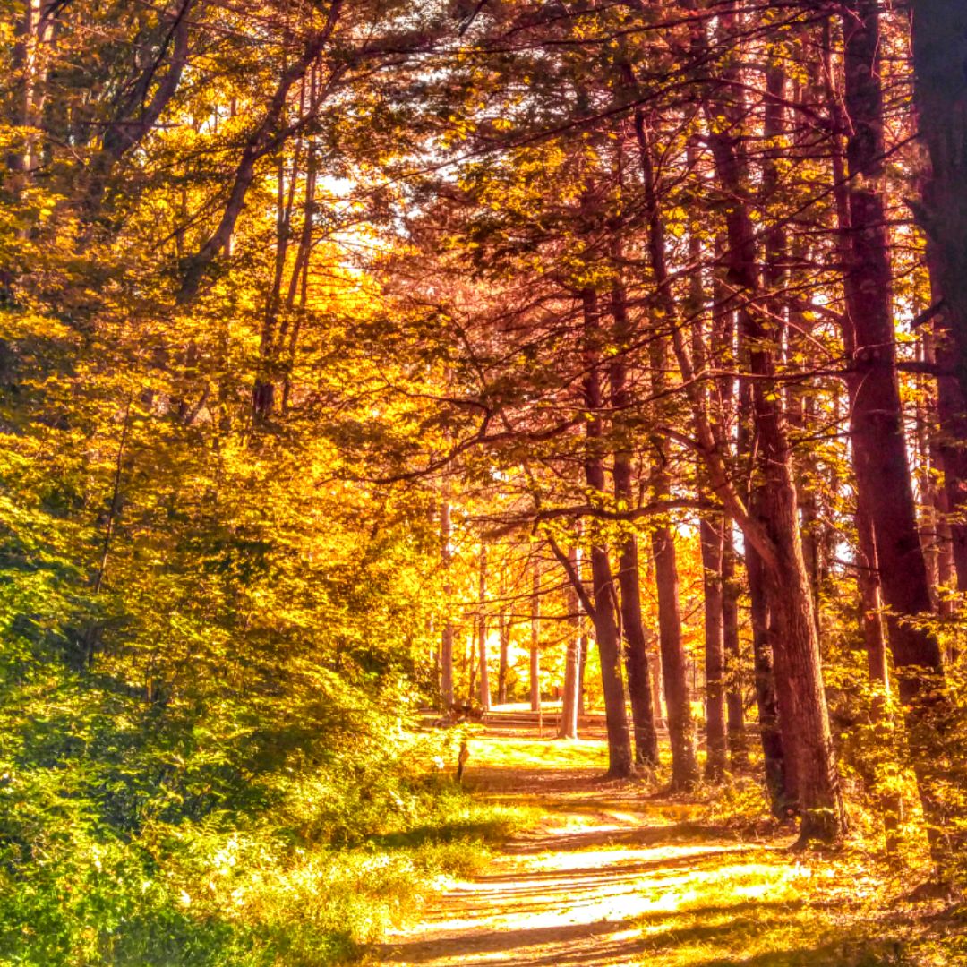 Howe Park Spencer Mass 9/29/19 | Scrolller