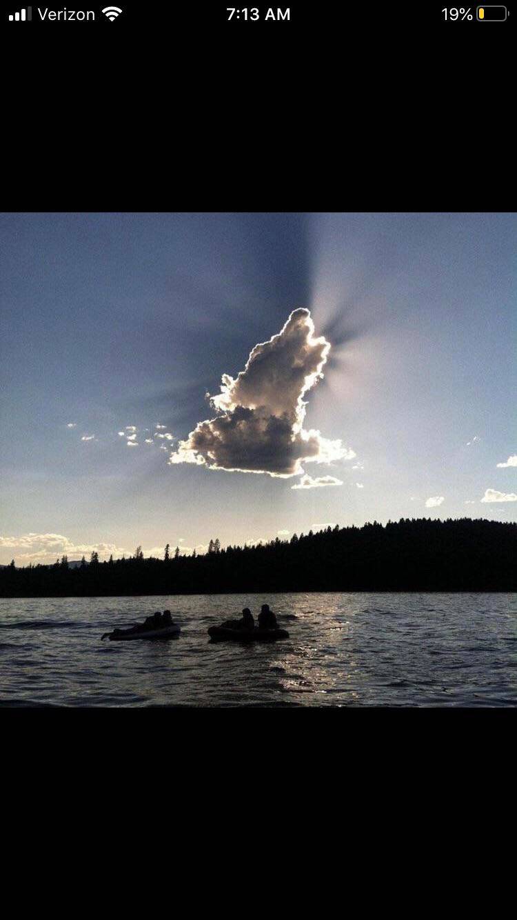 Howler cloud | Scrolller