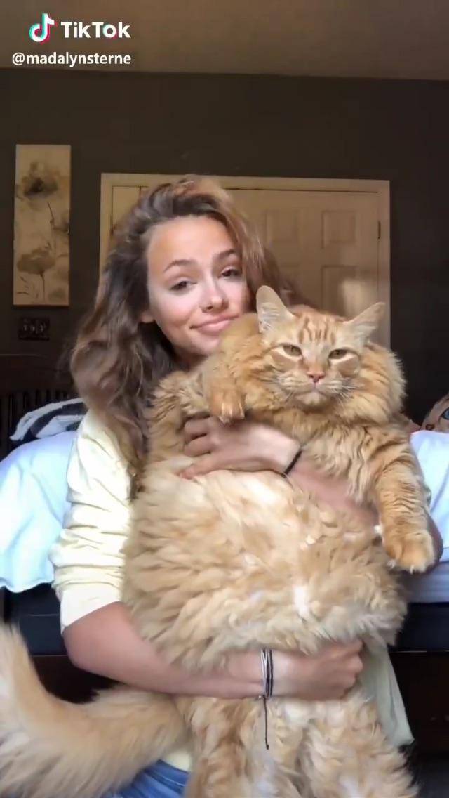 Huge amirite? | Scrolller