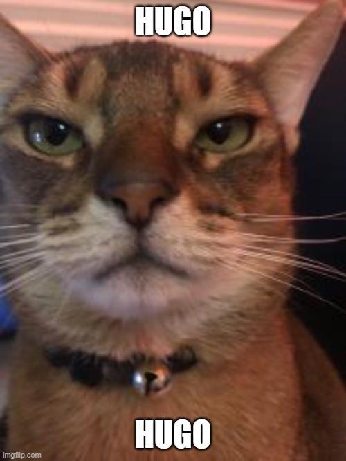 Hugo | Pictures | Scrolller