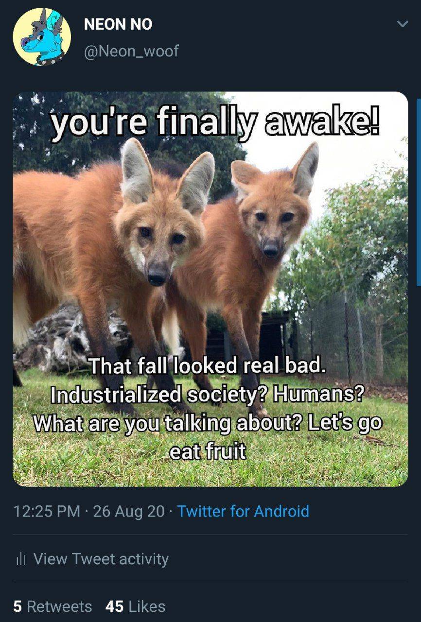 humanity_irl | Scrolller