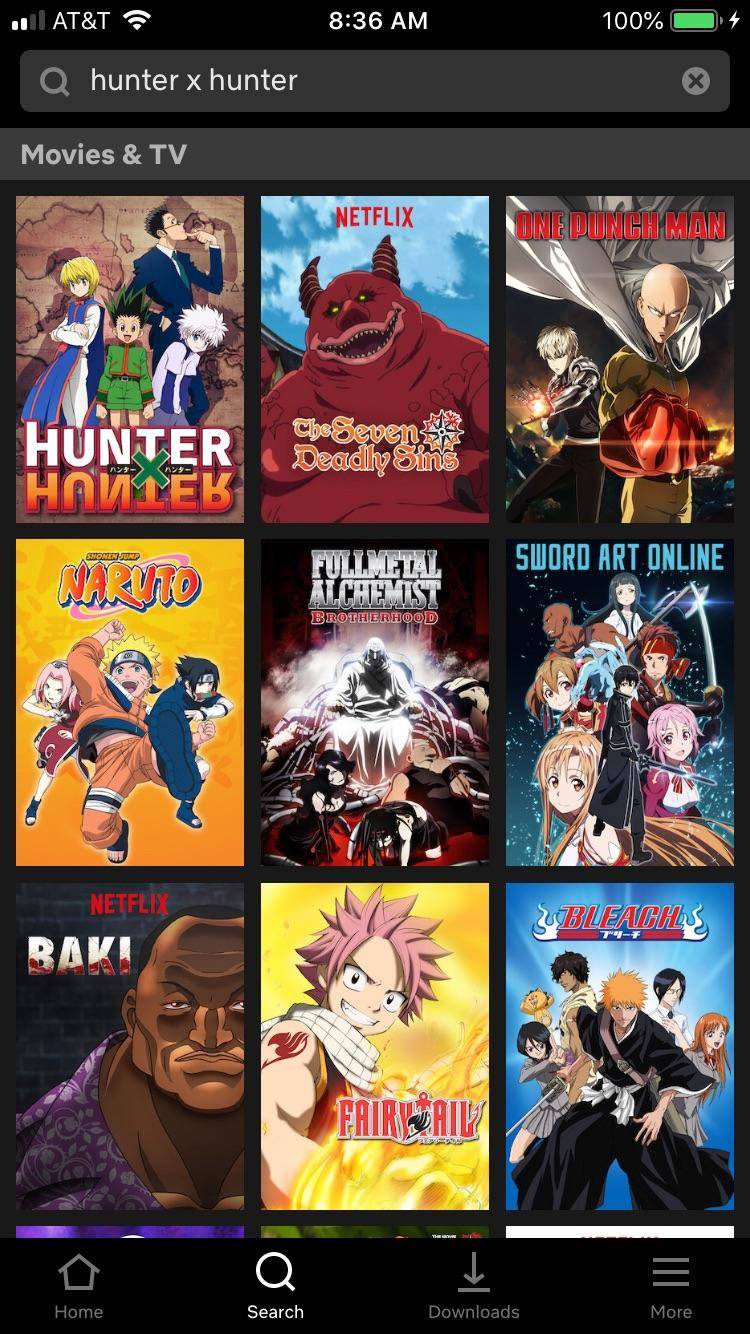 Hunter x Hunter is back on Netflix! | Scrolller