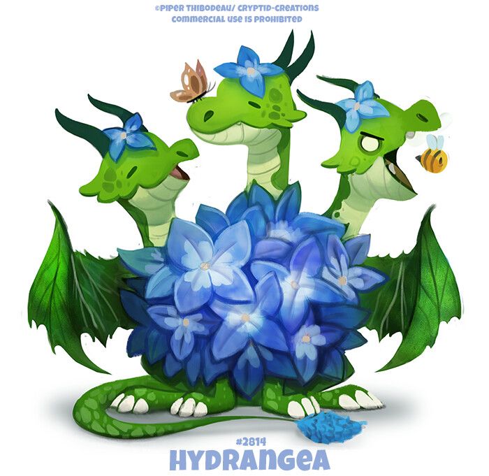 Hydrangea by Piper Thibodeau | Scrolller