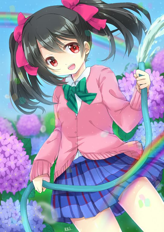 Hydrangea Nico | Scrolller