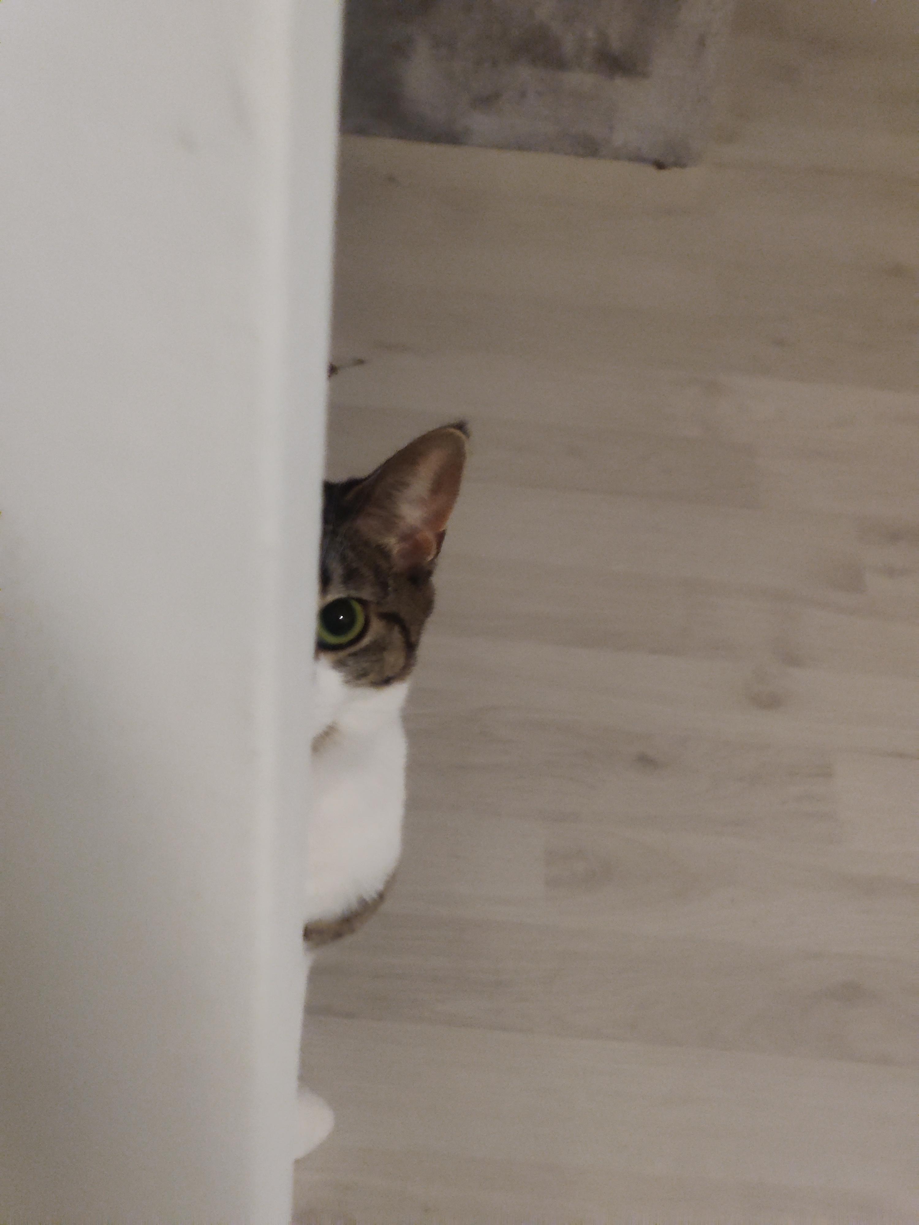 I Always Feel Like Somebody S Watching Me Scrolller