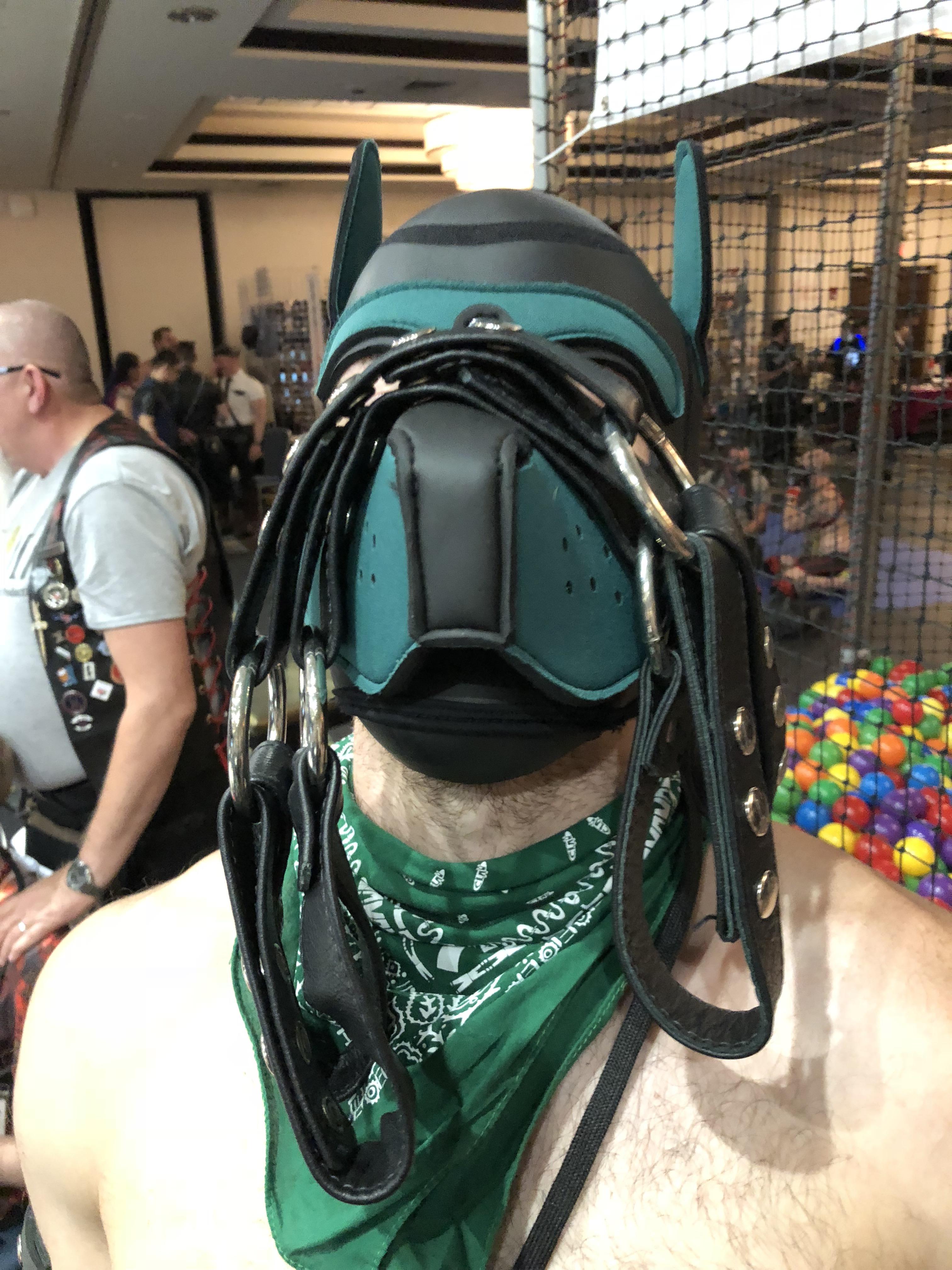 I am a harness hanger | Scrolller