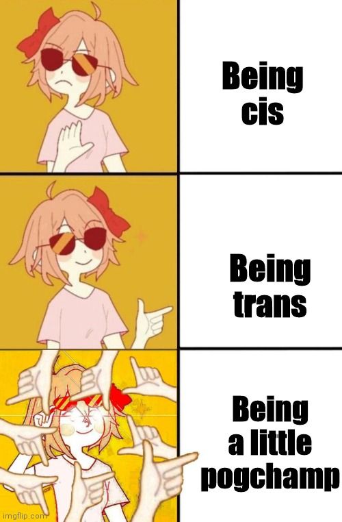 I am the little pogchamp now | Scrolller