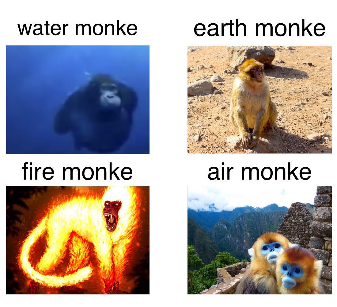 I believe monke can save the world | Scrolller