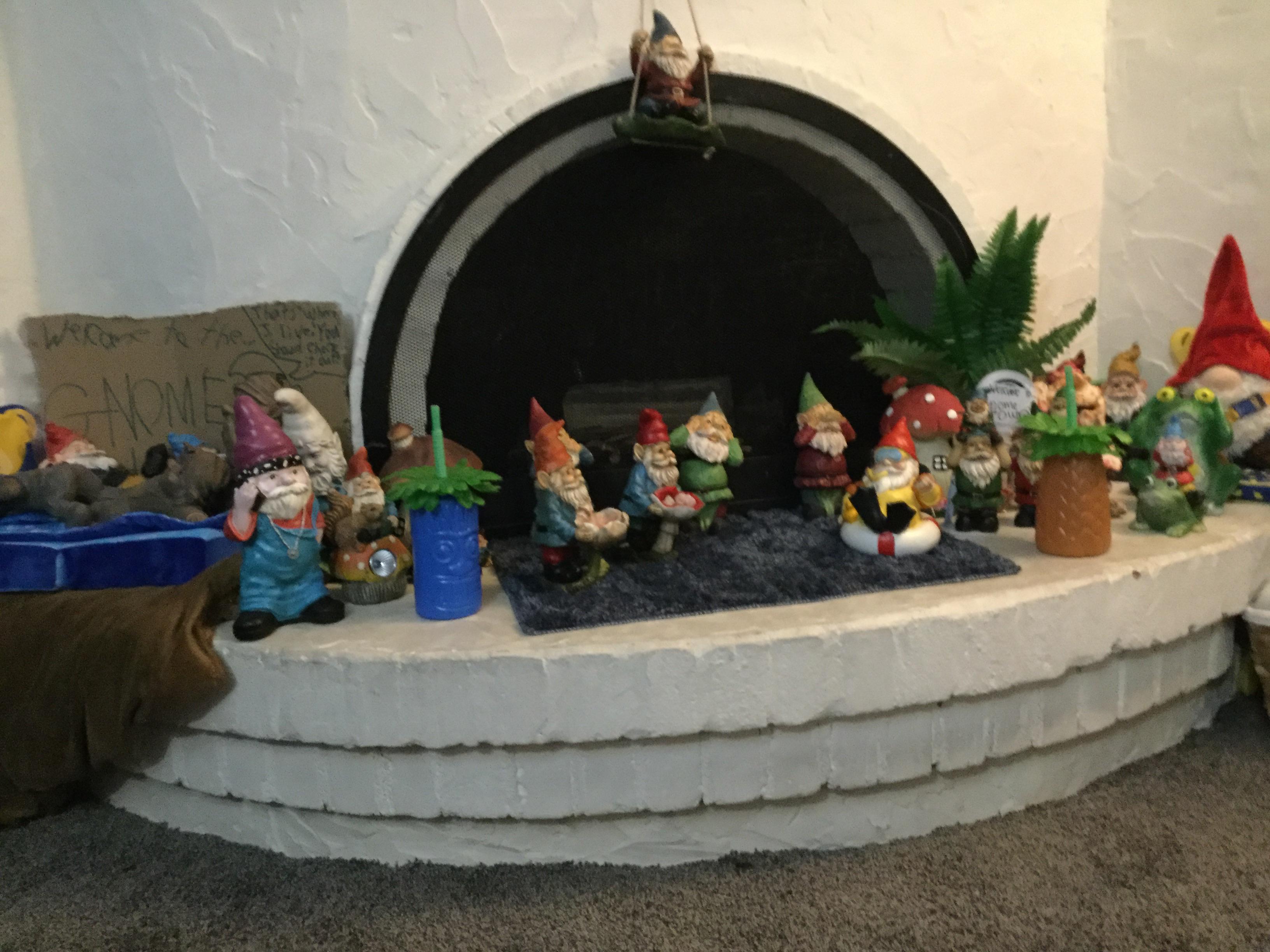 I called it: Gnome Town, my collection of gnomes | Scrolller