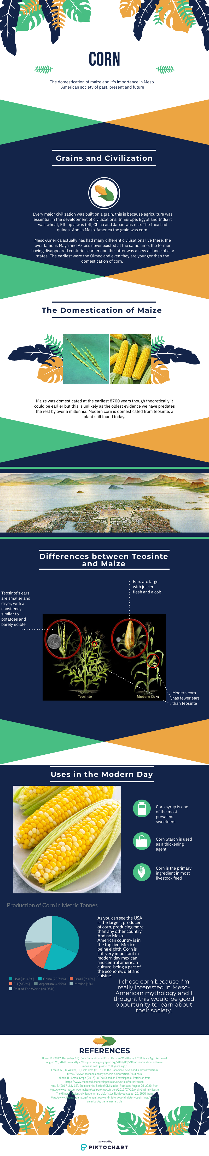 I did an infographic on corn for my biology class | Scrolller