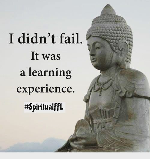 I didn't fail. It was a learning experience. | Scrolller