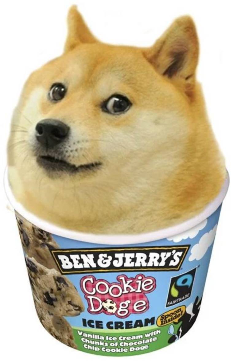 I ️ Doge | Scrolller
