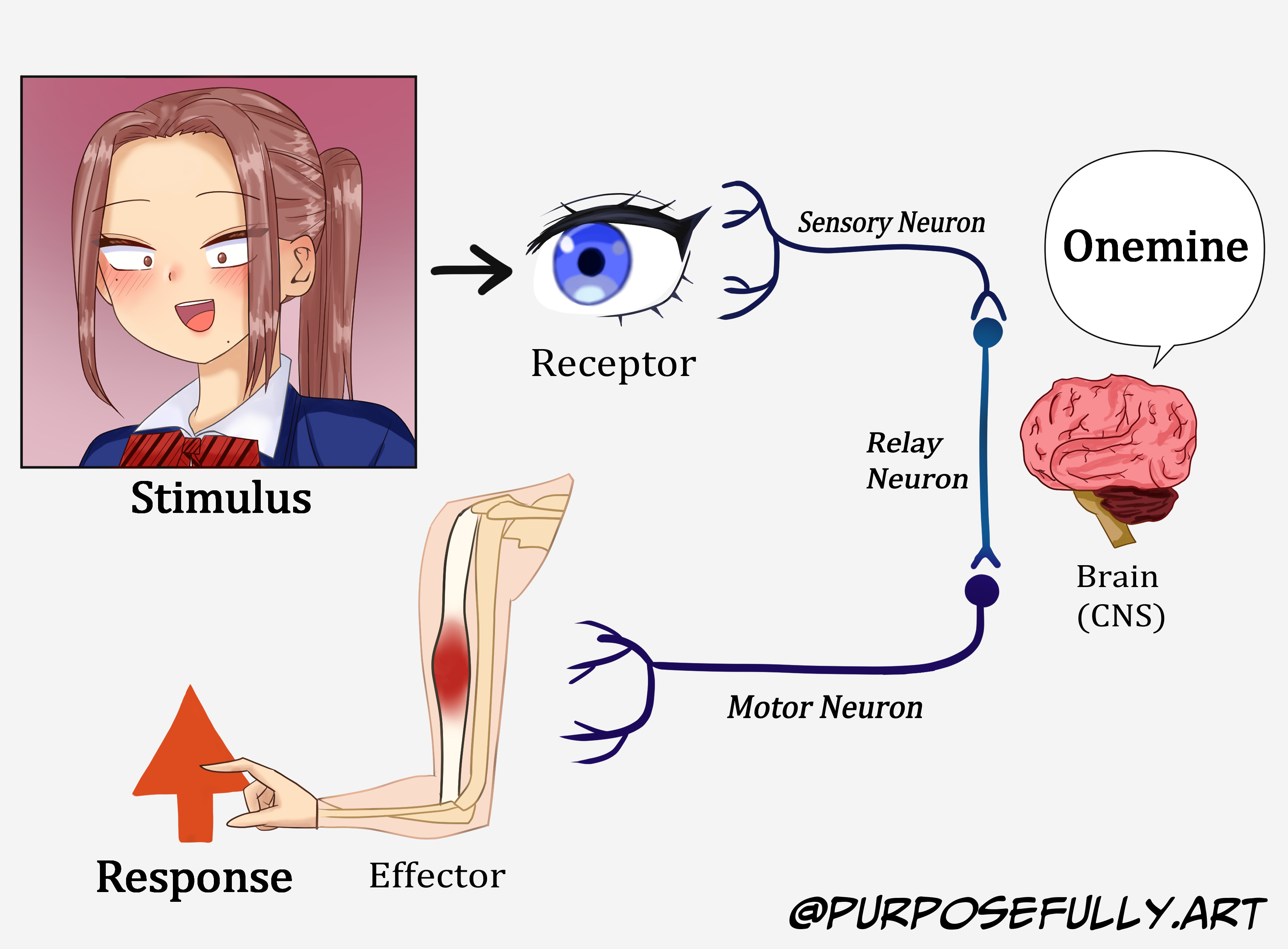 I drew one of my favorite meme formats. Very accurate ! | Scrolller