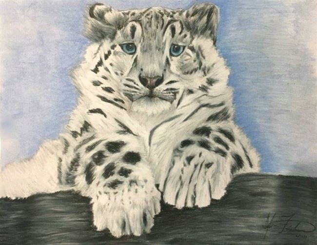 I drew this snow leopard! | Scrolller