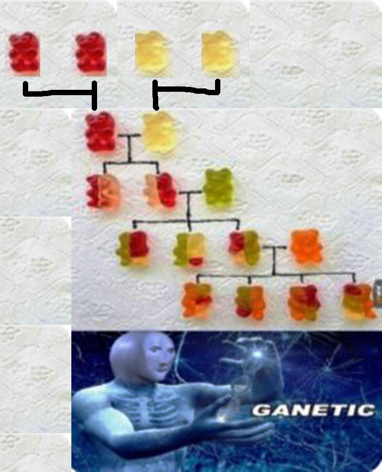 I fixed the meme | Scrolller