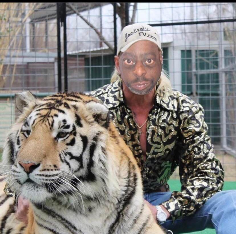 I got a cuppa tigers | Scrolller