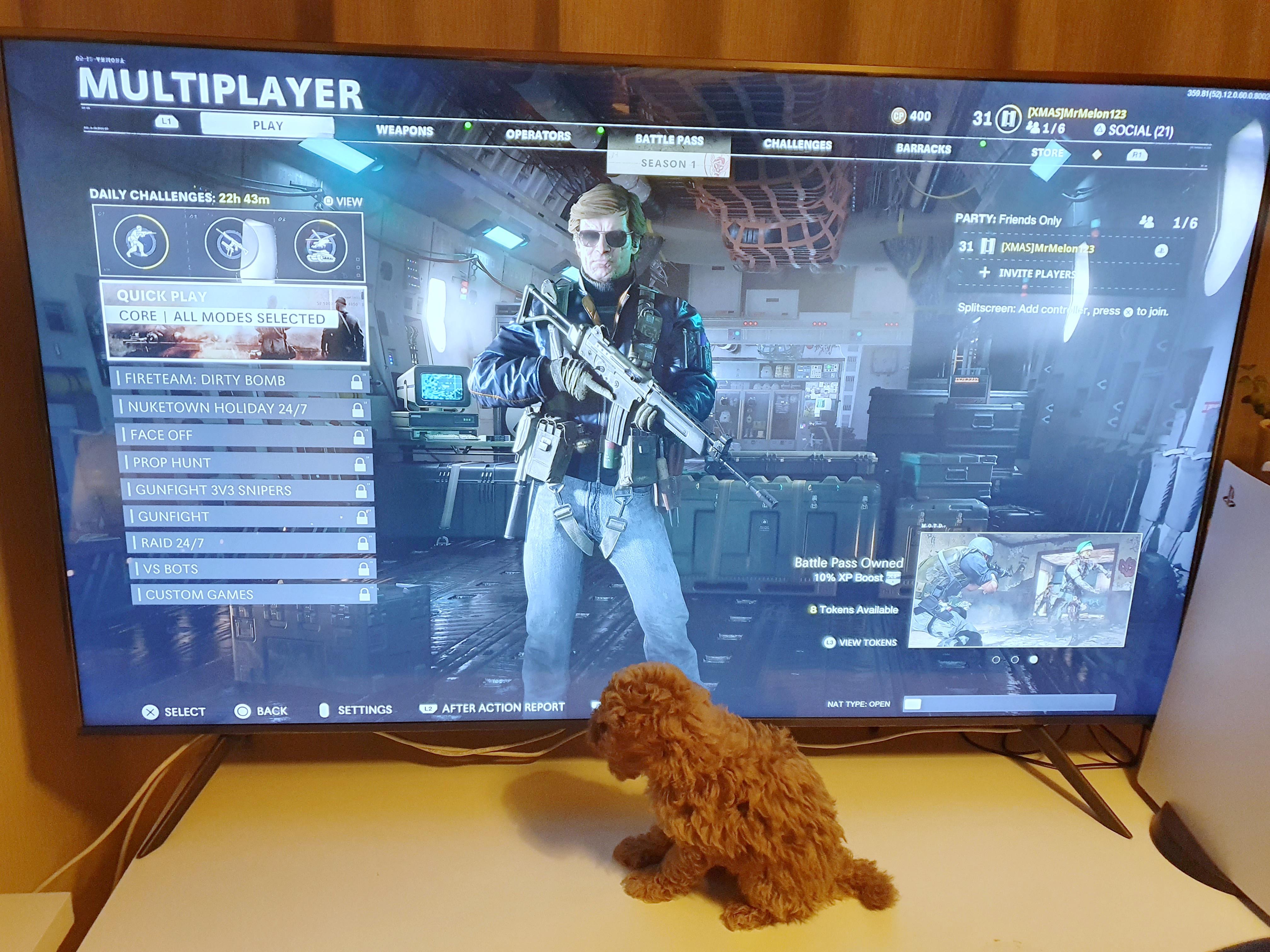 I Got A New TV (Puppy For Scale) | Scrolller