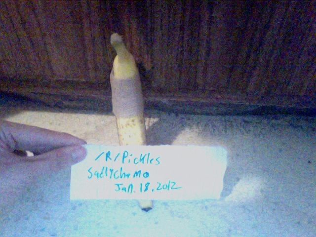 I got one of those yellow bastards hostage. What should I do to him? | Scrolller