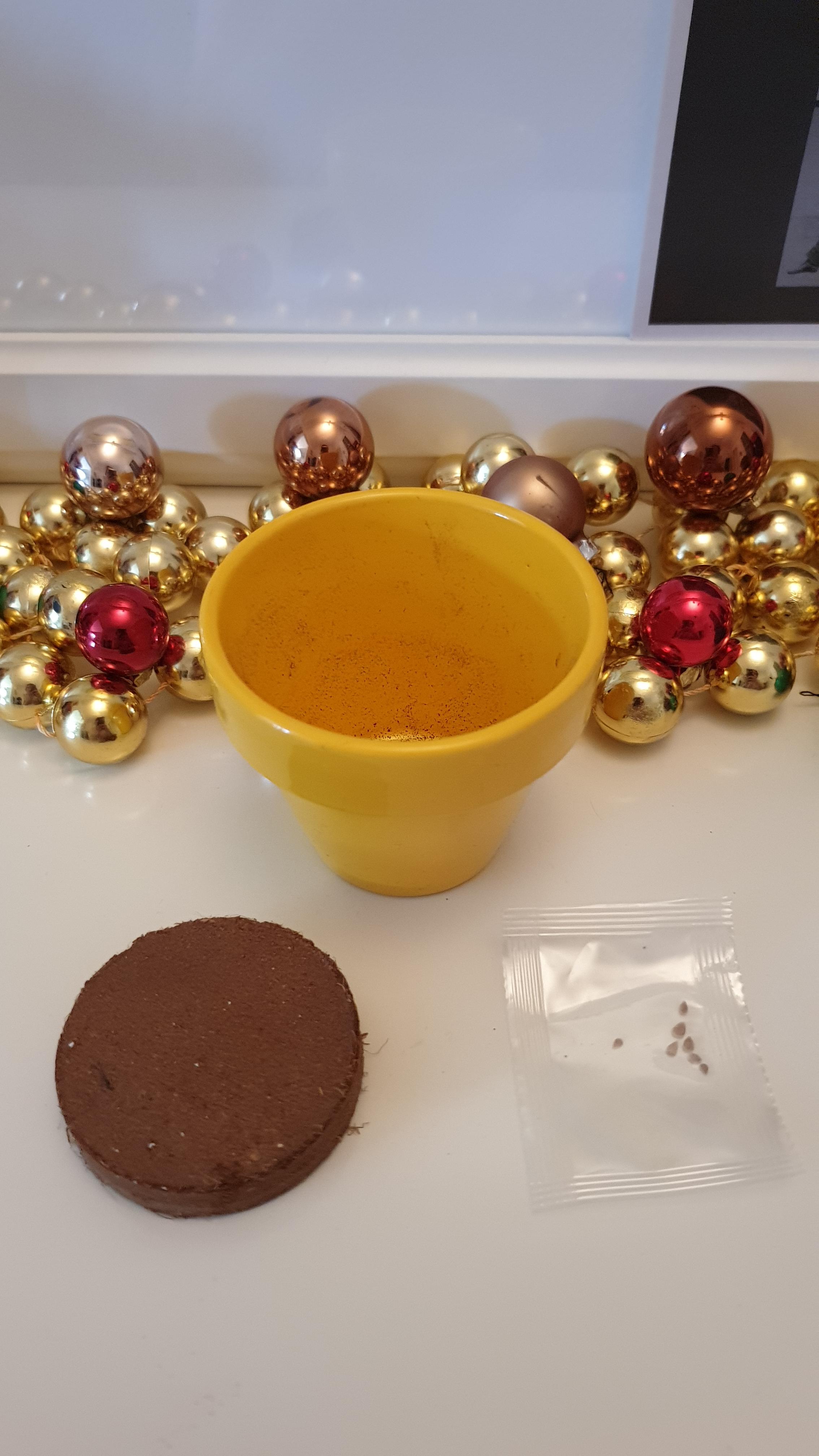 I got this as a present without instructions, how do I start? | Scrolller