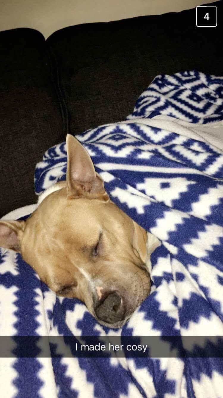 I just think she’s neat | Scrolller