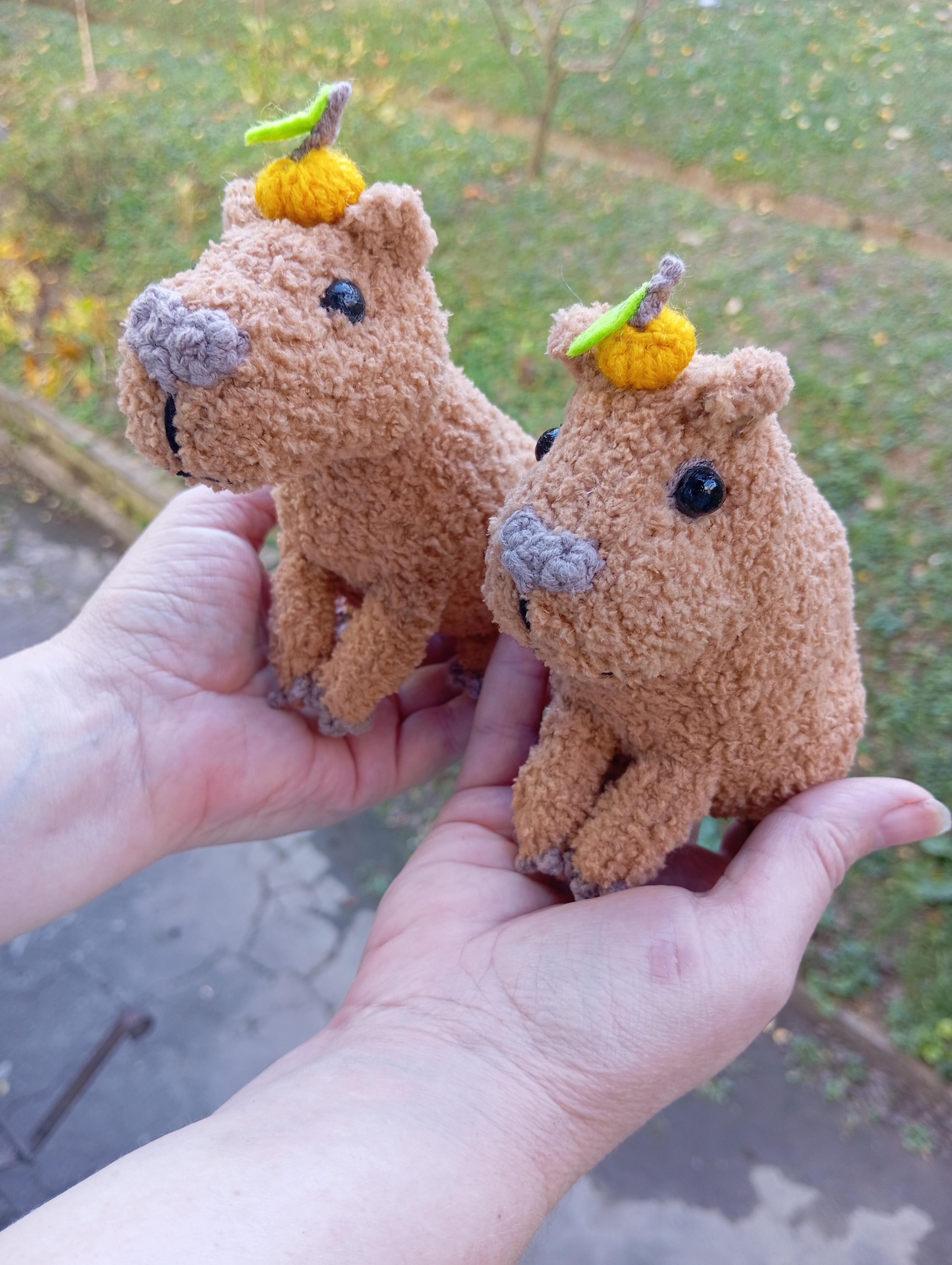 I love Capybaras, they are cute. | Scrolller