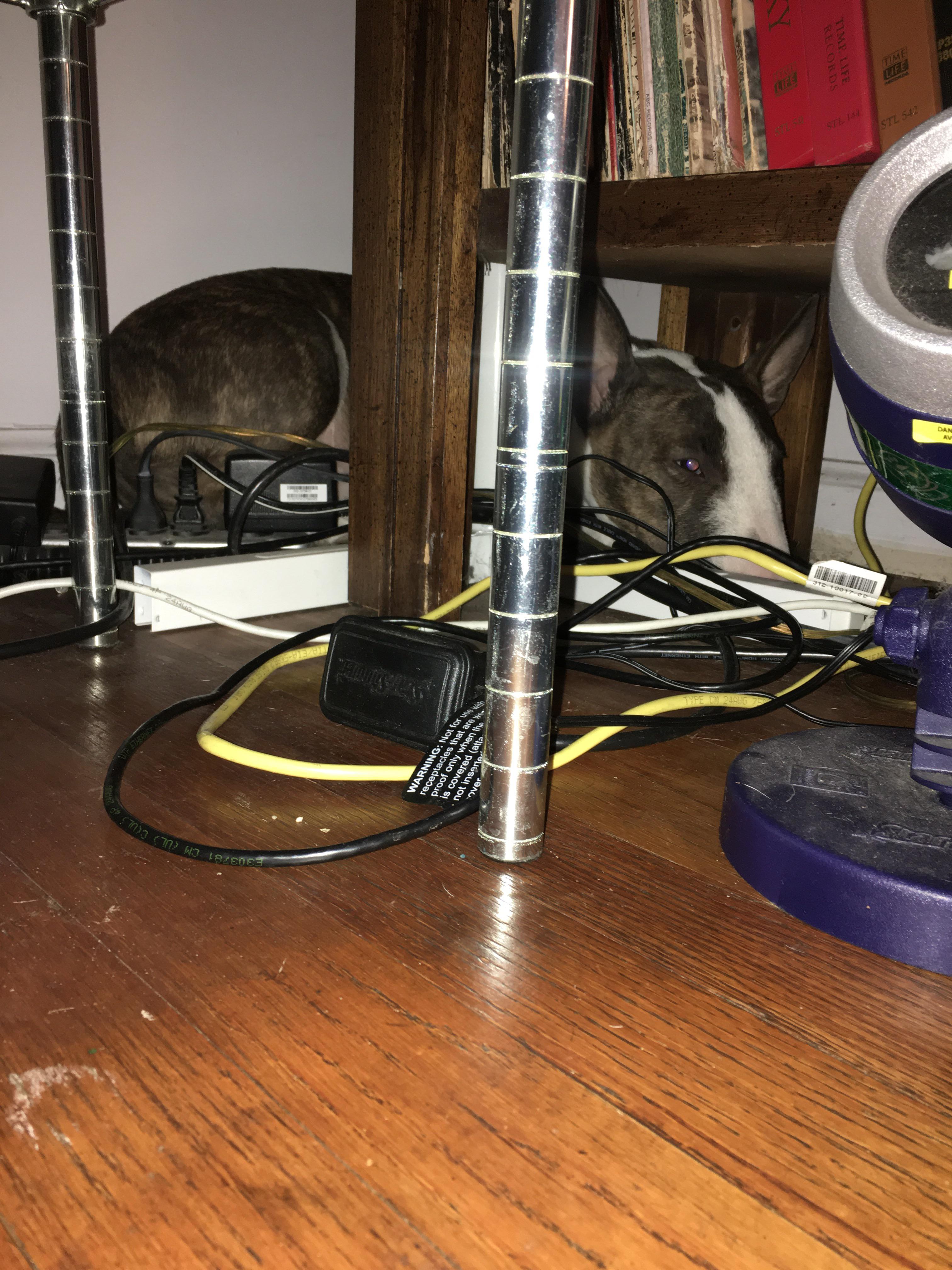 “I’m a wire. Wires don’t take baths.” | Scrolller