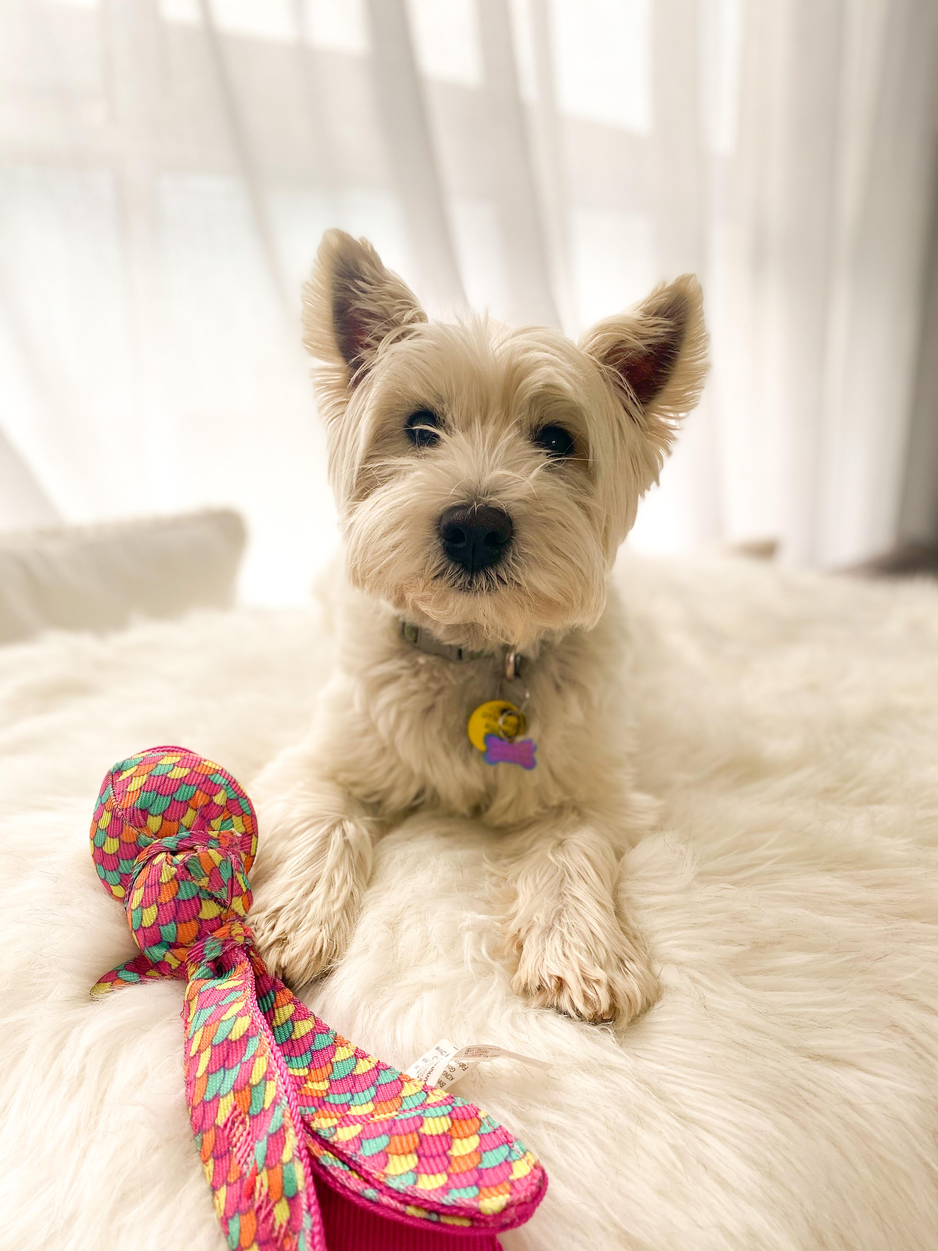 I’m ready for my closeup