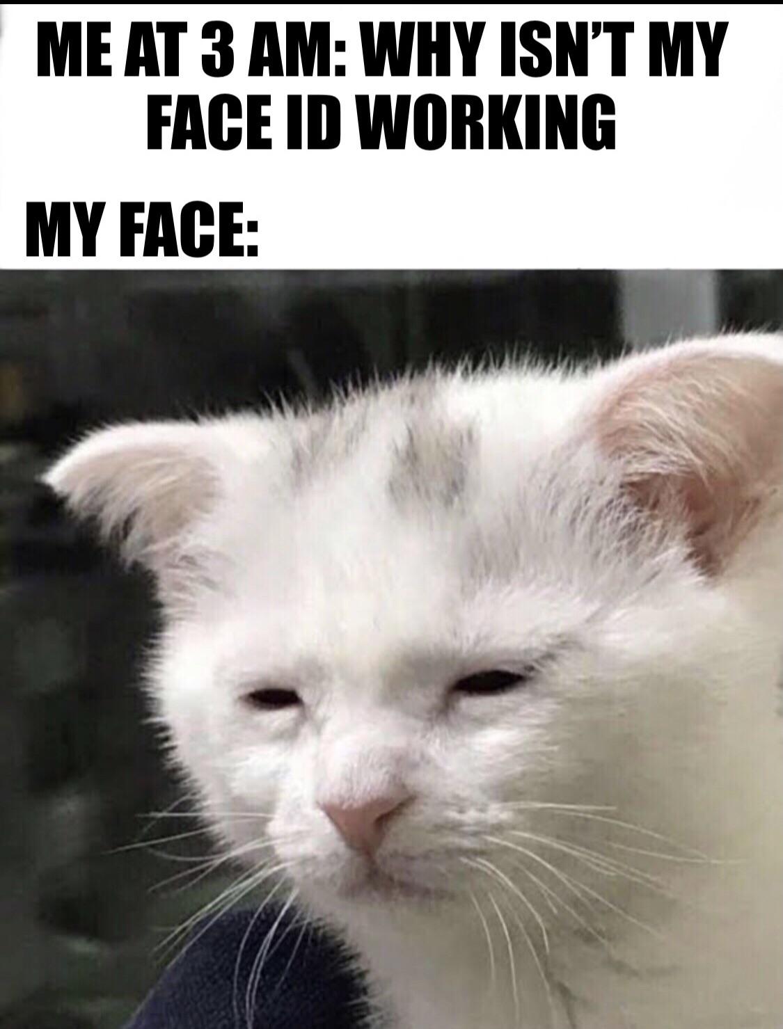 I need to sleep | Scrolller