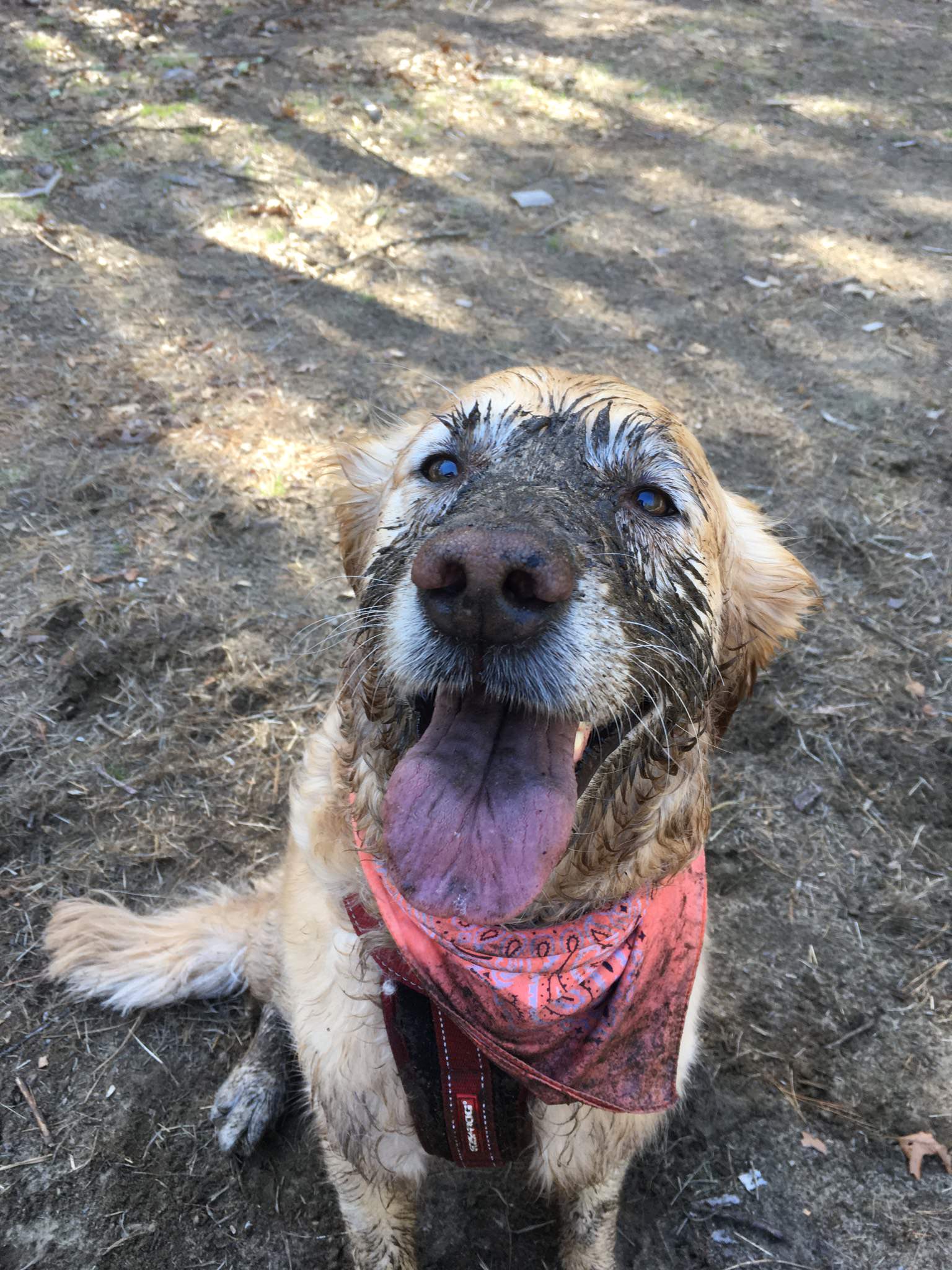 "I promise I won't get dirty" | Scrolller