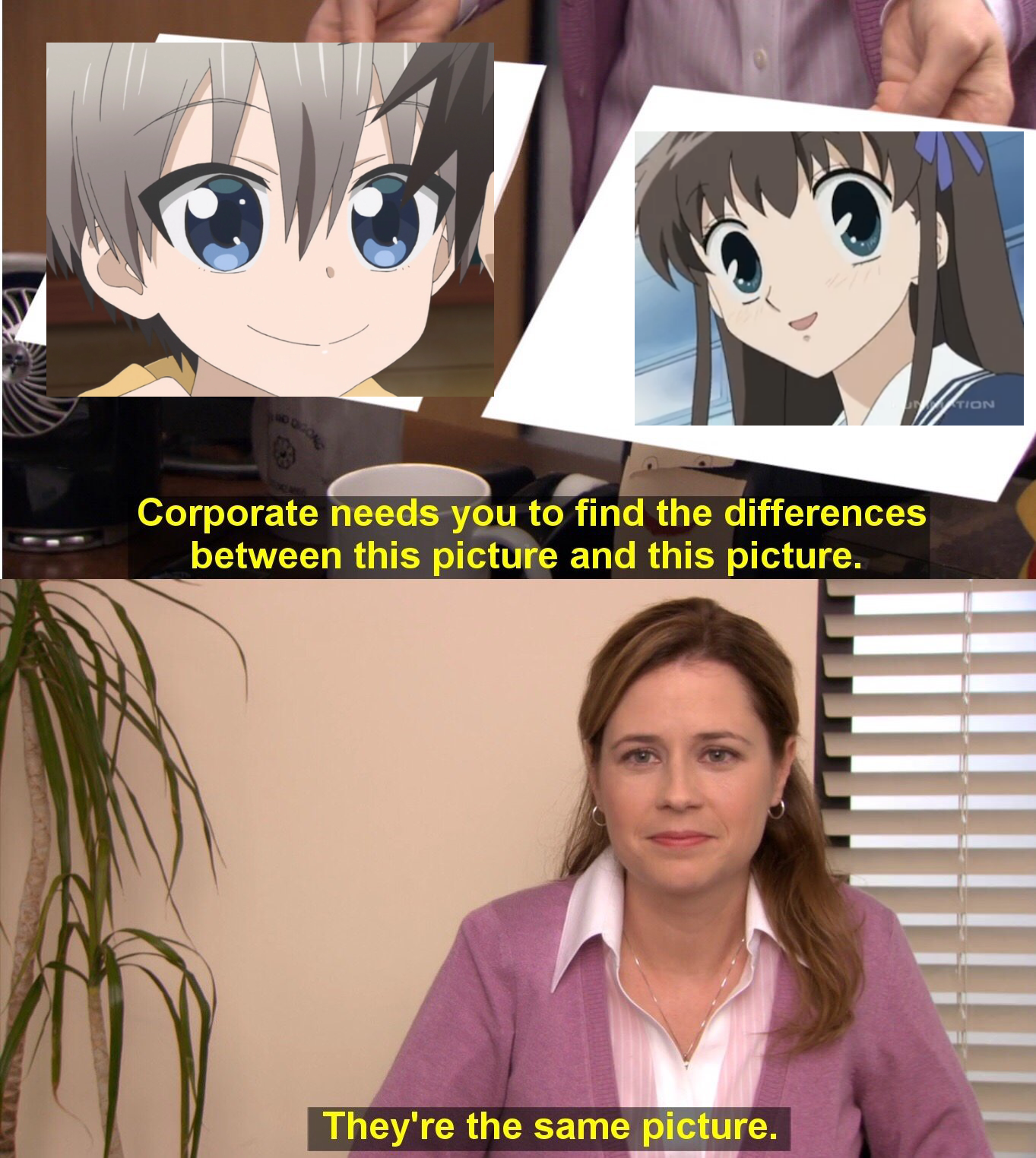 I See no Difference | Scrolller