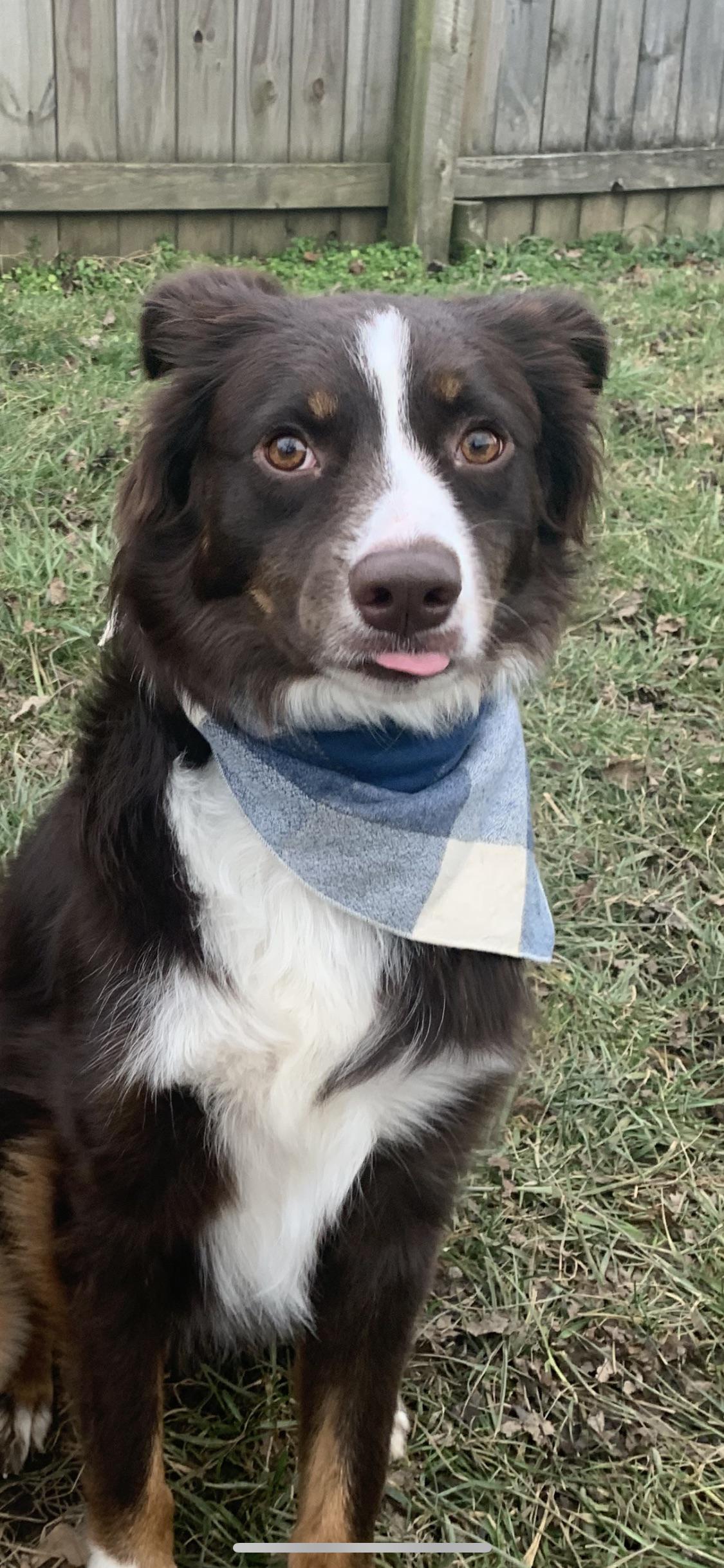 I suppose this is his concentration face | Scrolller