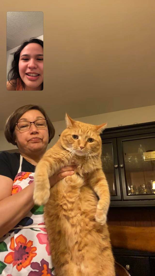 I think Pancake belongs here | Scrolller