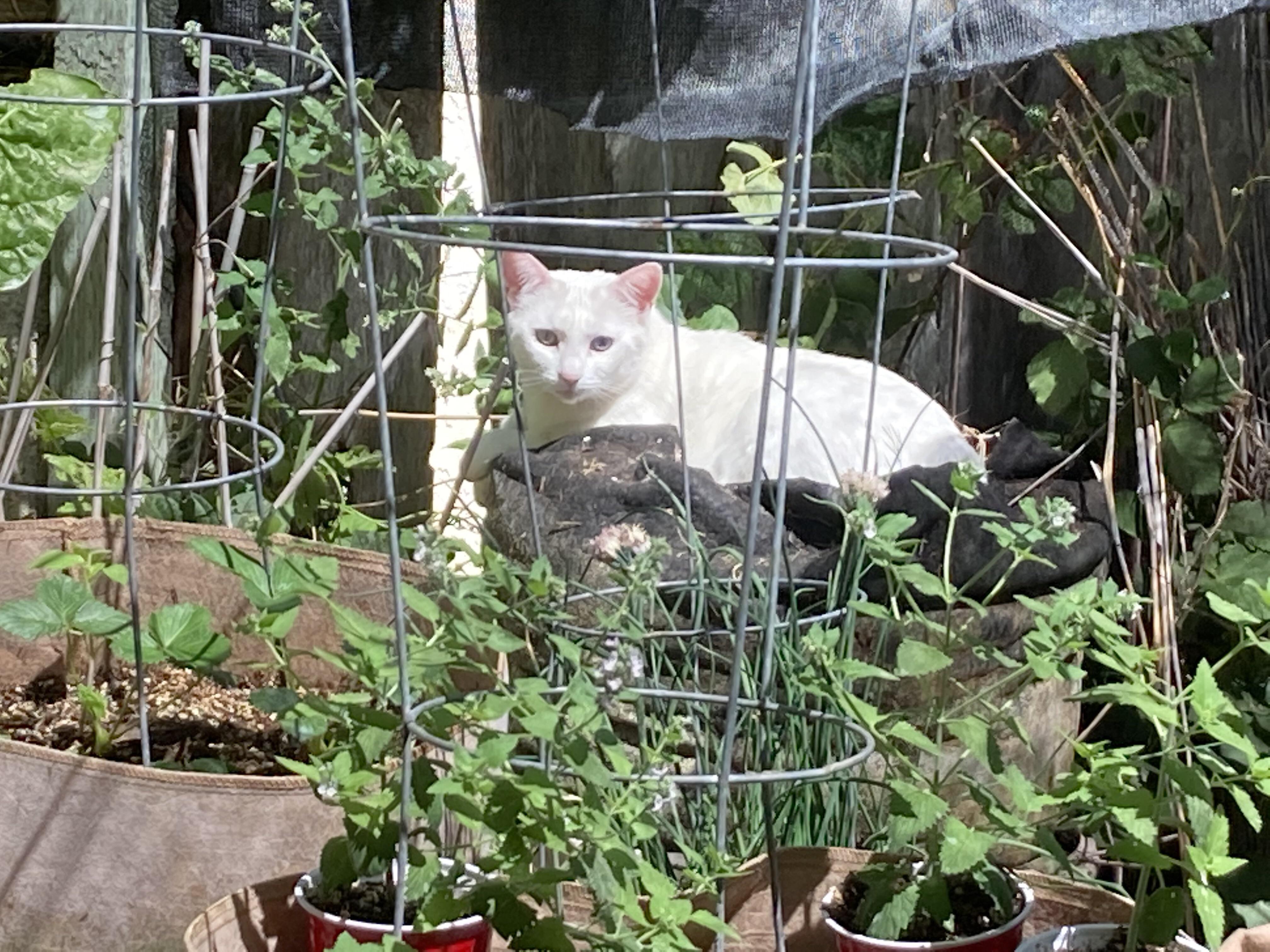 I think she’s ready to harvest | Scrolller