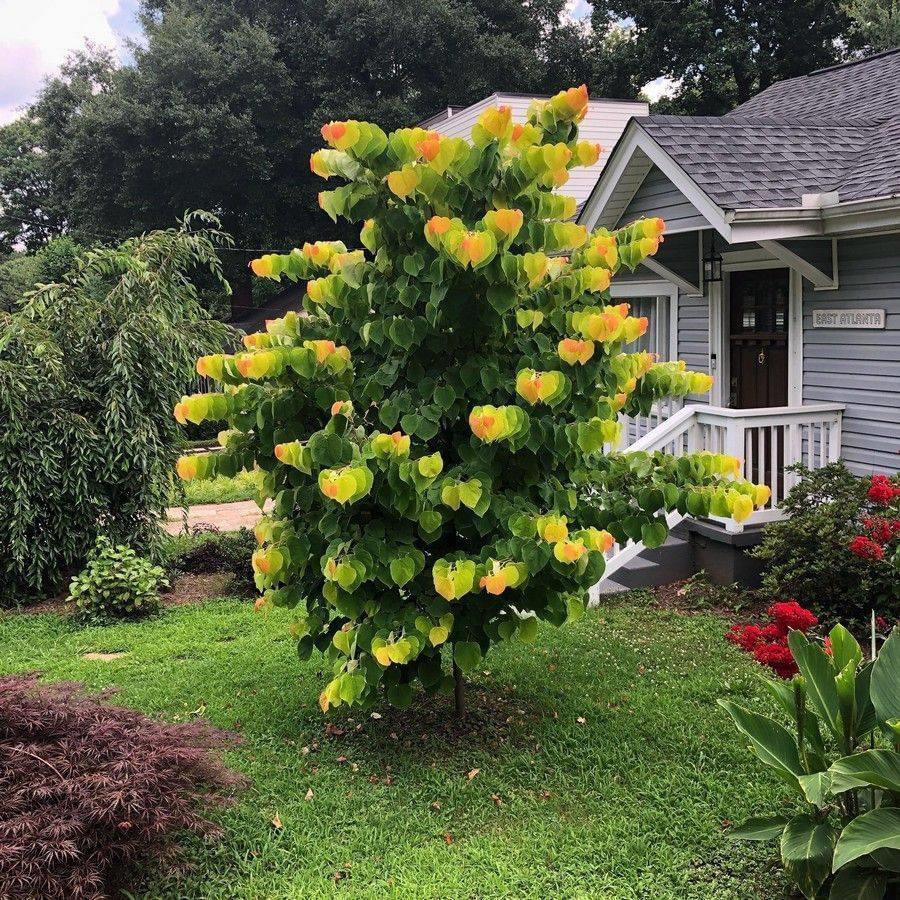 I thought it was actually moving for a second | Scrolller