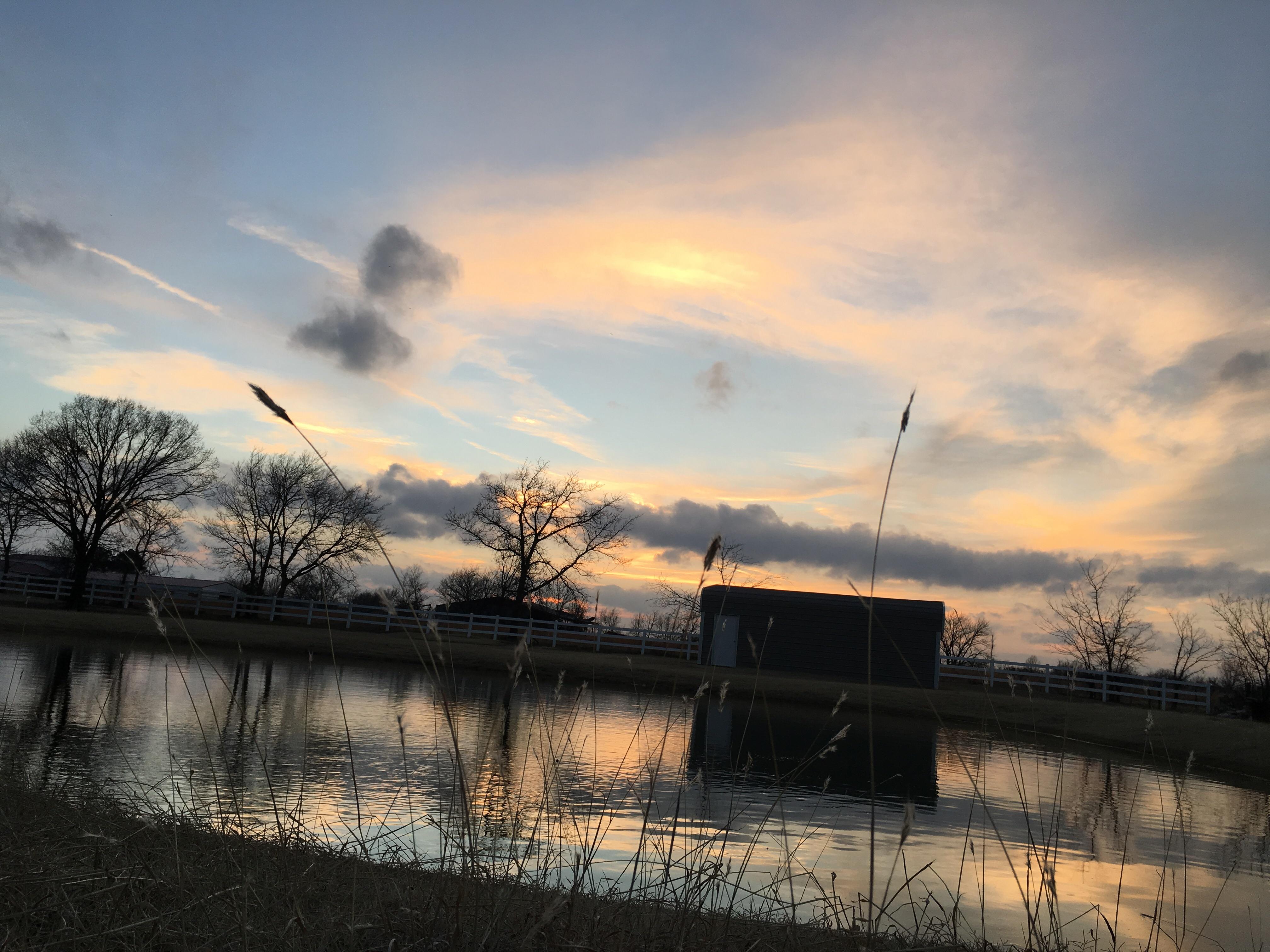 I took this picture Sunday at sunset. I feel as if it really captures the essence of an ...