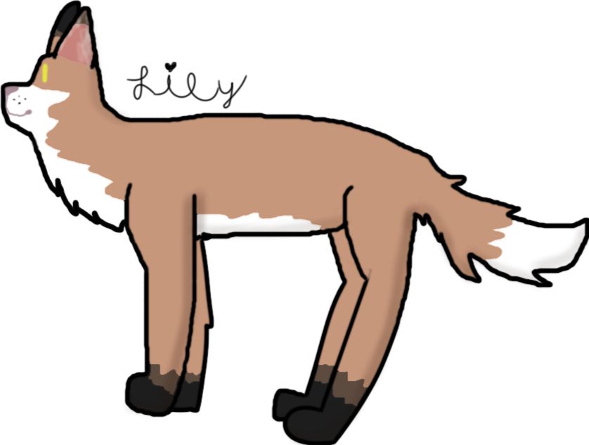I tried doing a Red Fox, hope you like it! | Scrolller