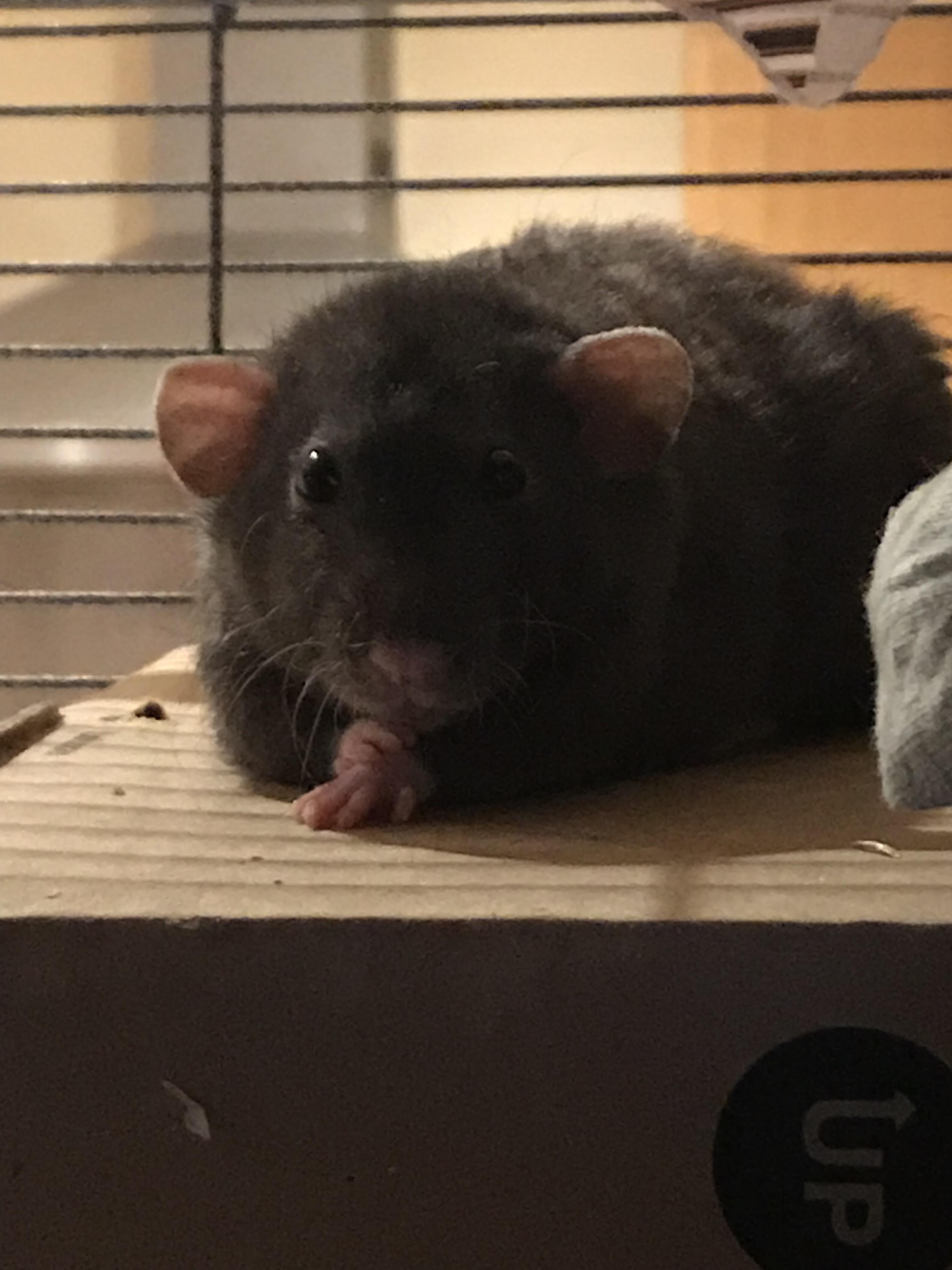 I’ve been expecting you | Scrolller