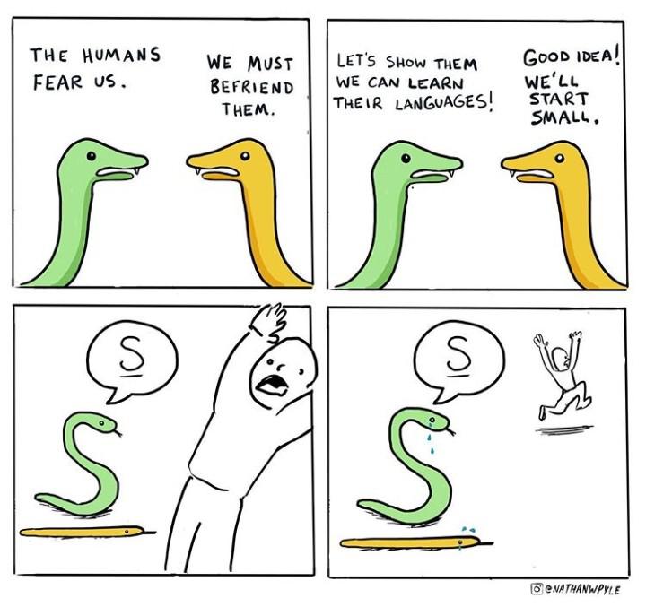 I wish we could communicate with sneks :( | Scrolller