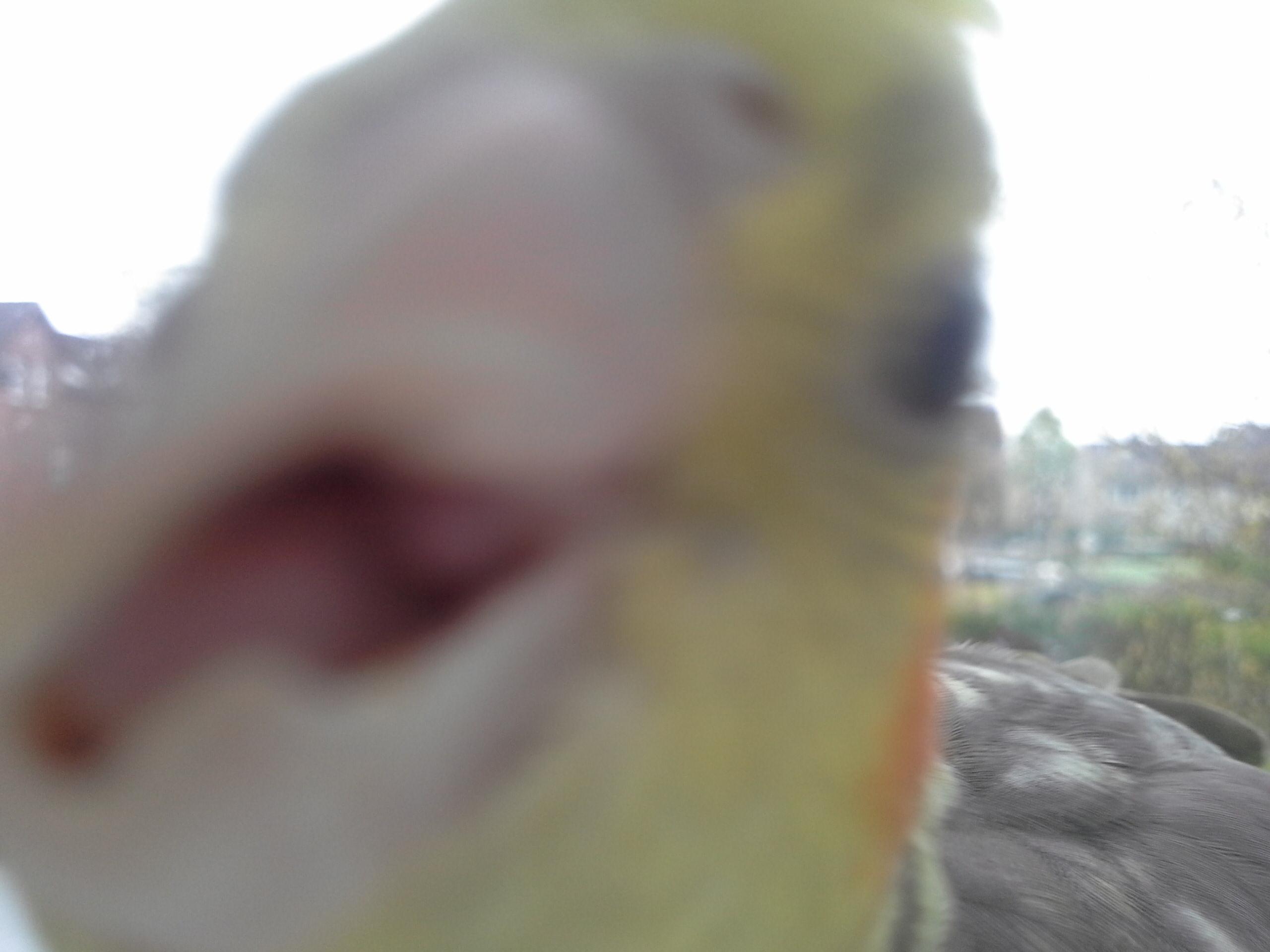 Iconic. Photo. Ever. (the 3rd) | Scrolller