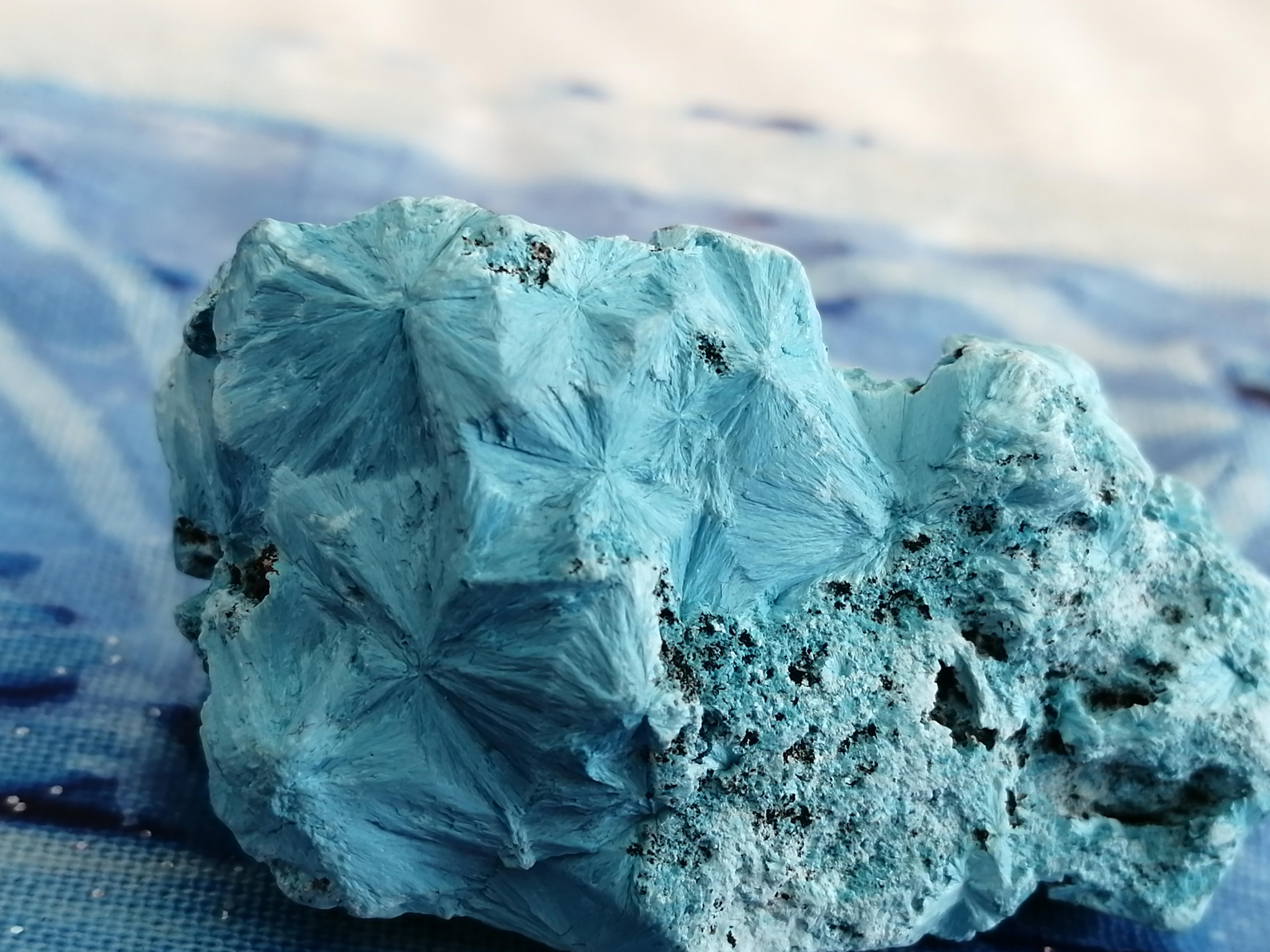 Identification help needed :) | Scrolller